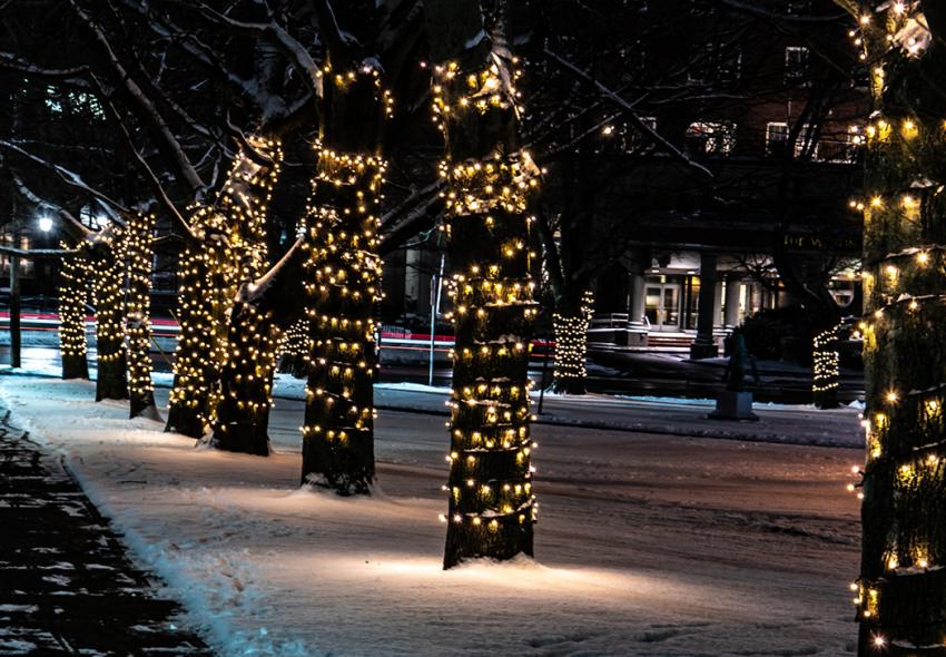 DELIGHTFUL DOWNTOWN | DHBC